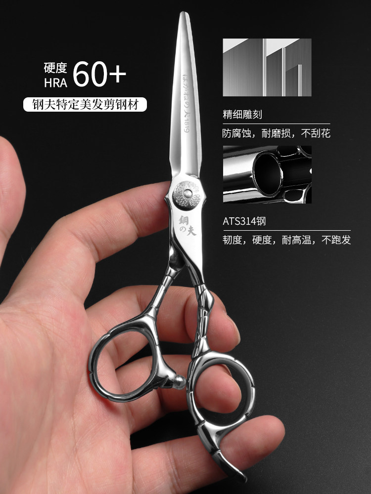 Steeler Silver Blade Hairdressing Scissors - Professional Japanese ...