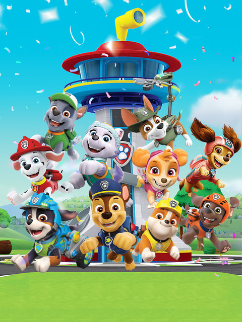 The Wangwang Team Li Digong Wang Wang Yaotong's 10th Anniversary Memorial Dog Pavilion Swing ...