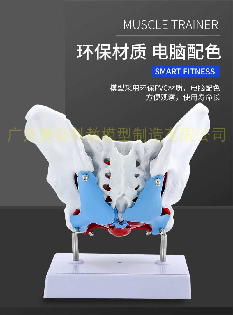 Model perubahan patologis rahim dan ovarium reproduksi wanita | Kebaikan