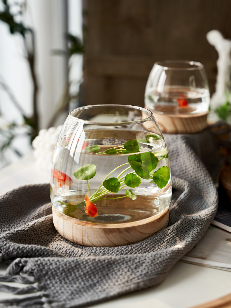 Creative Round Glass Goldfish Tank | Ecological Mini Tank