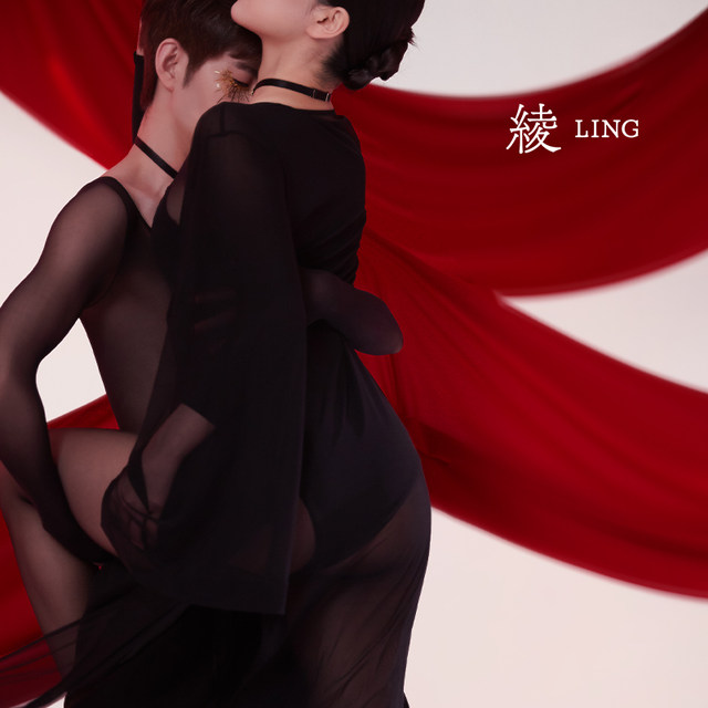 Aya Naturally Silky-Slim Shadow Light Velvet 15D Sexy Permeable Halter Neck Strap Stockings ...