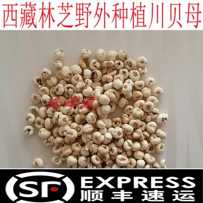 50 grams of Tibetan Linzhi Virgin Forest Wild-Grown Fritillary ...
