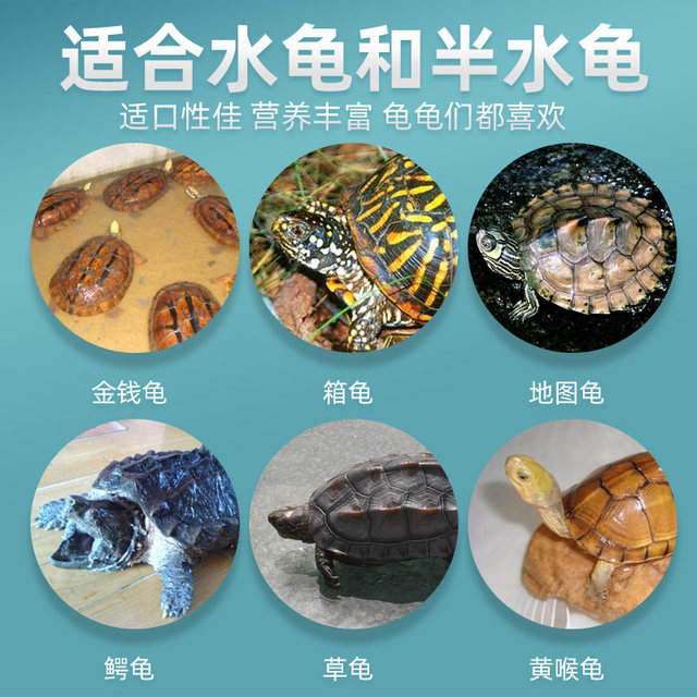 Tripod turtle feed high protein snapping turtle Brazilian turtle semi ...