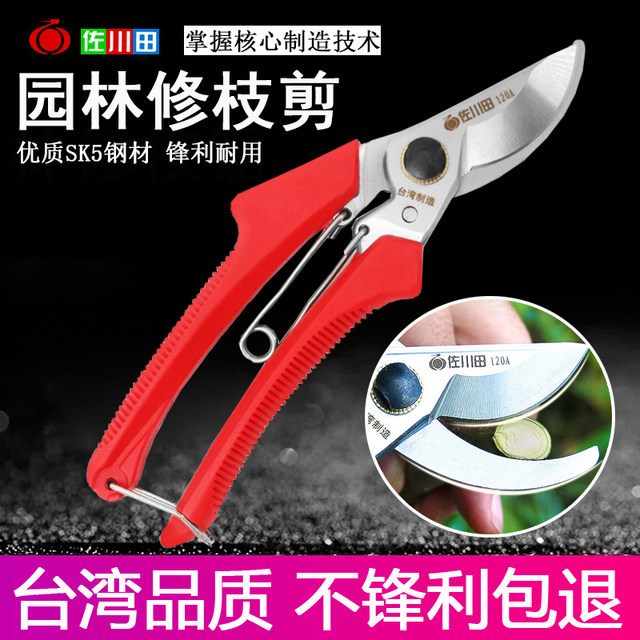 Sakawada Taiwan 120 pruning scissors fruit branch shears gardening ...