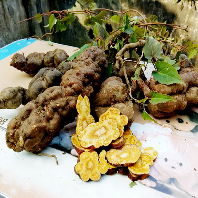 Wild Ho Shouwu fresh Chinese herbal medicine, the entire Guizhou ...