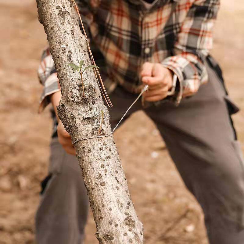 Survival Wire Saw - Stainless Steel Camping Tool