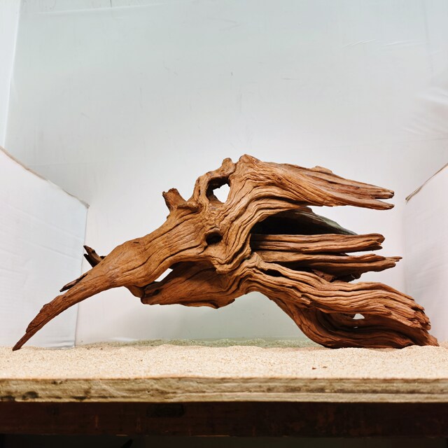Shenmingsi Moss Tree Purple Teak Streaming Palace Fish Tank Scenery ...