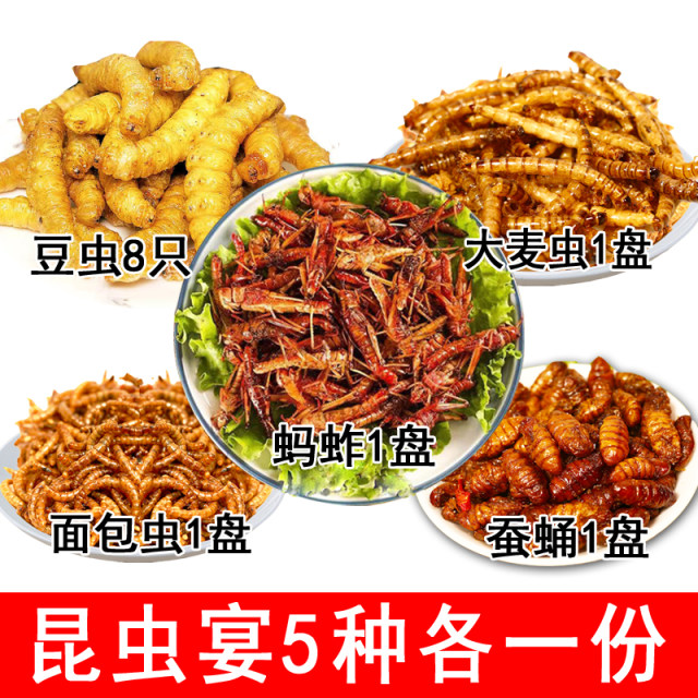 Fried insects, grasshoppers, ready-to-eat silkworm pupae, fresh locusts ...