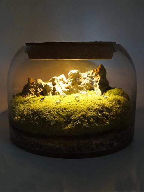 Hats Moss Motor Micro Landscape Ecological Bottle glass tank stuffy ...