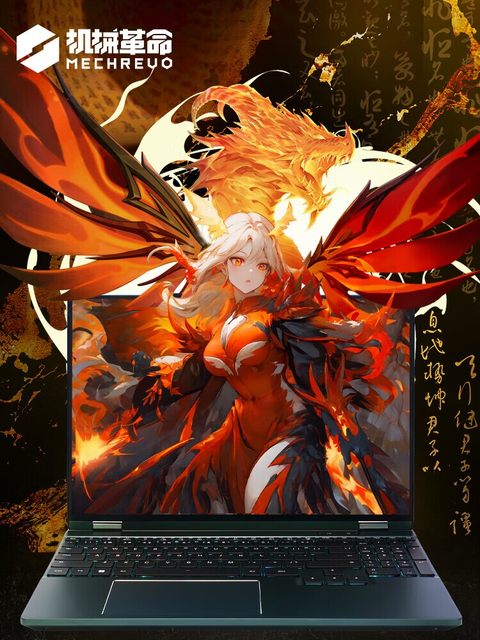 Mechanical Revolution (MECHREVO) Wing Loong 15Pro 15.3-inch high ...