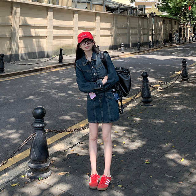 Ai Ensheng 2024 Autumn Denim Dress Women's Fashion New Long Sleeve Slim Temperament Casual ...