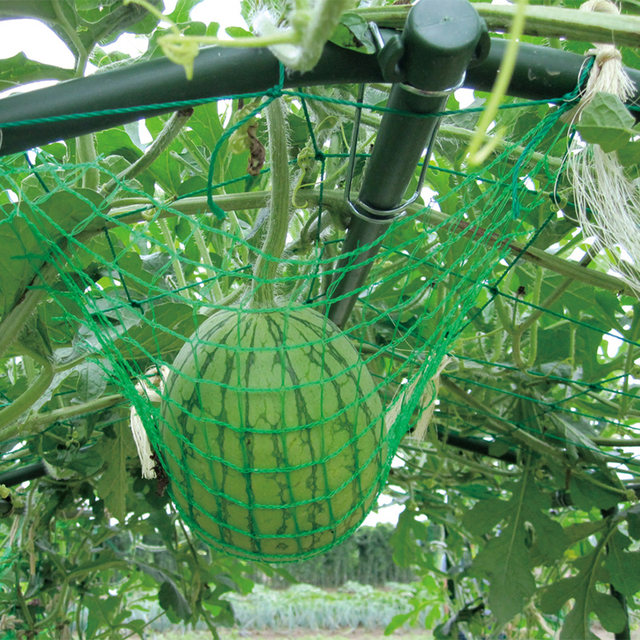 Cucumber climbing vine rack gardening vegetable support plant vine rack ...