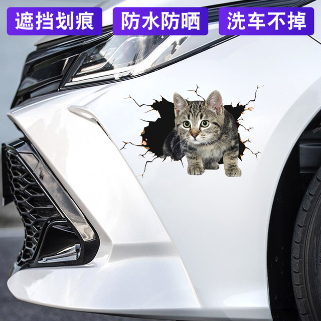 Car sticker creative personality 3D three-dimensional kitten car ...