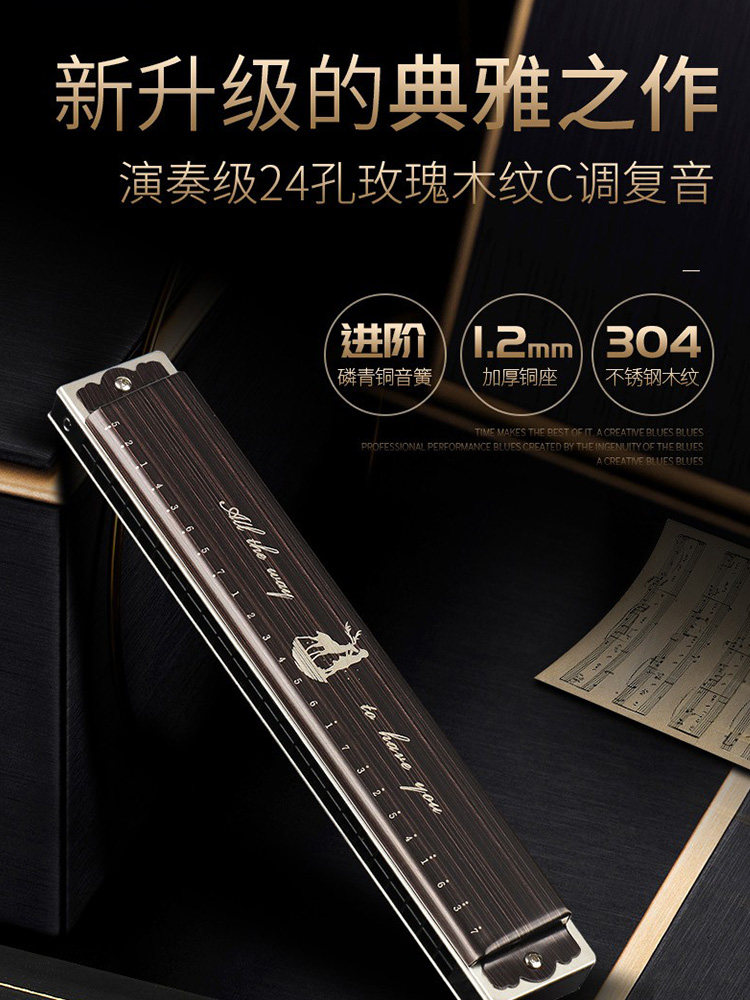 Armónica Polifónica Jdr de 24 Agujeros - Modelo S4