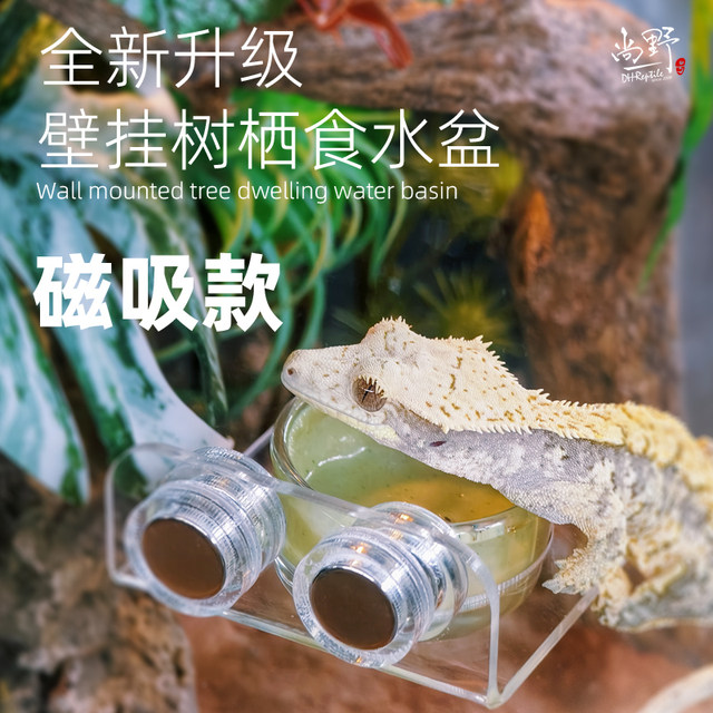 DH gecko R hanging movable magnet water bowl arboreal climbing pet food ...