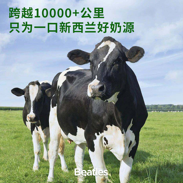 Bidushi infant yam walnut biscuits calcium iron zinc vitamin B1 baby ...