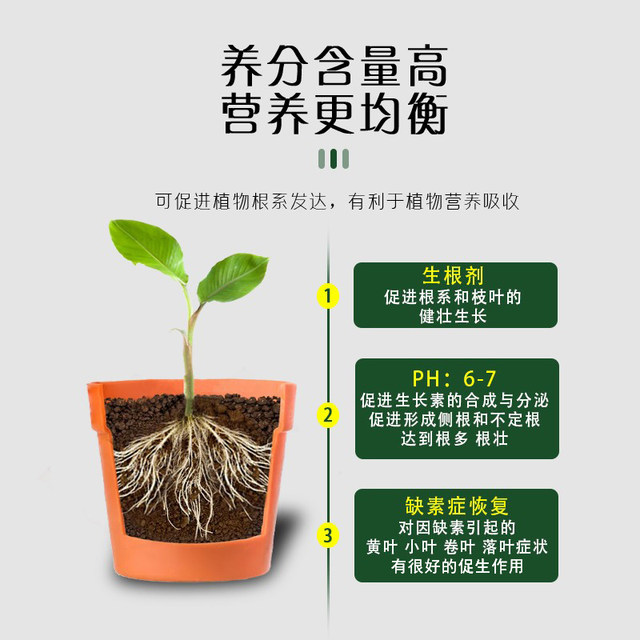 Plant universal rooting powder tree strong seedling rooting agent ...
