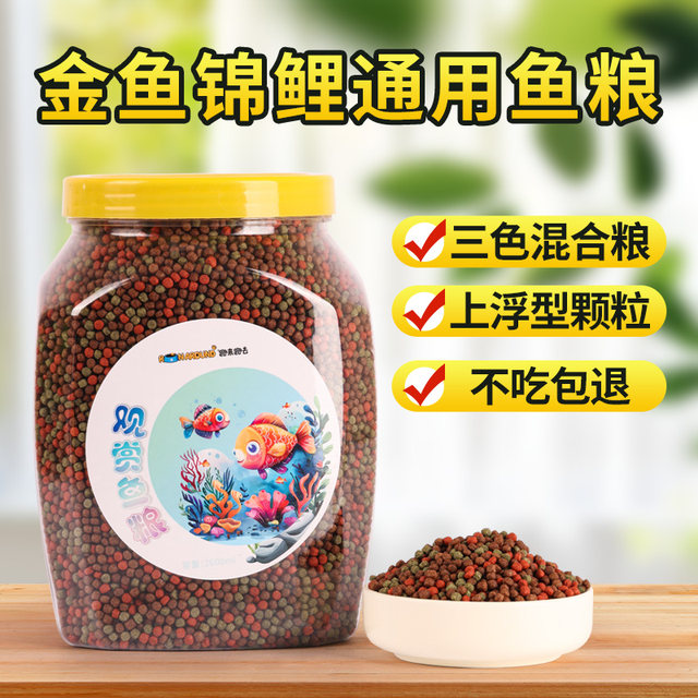 Fish Grain Goldfish Feed Watching Fish Koi Fish Fish Fish Fish Fish ...