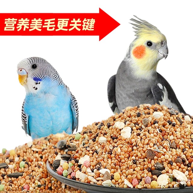 Bird food parrot feed tiger skin black phoenix peony bird food shelled ...