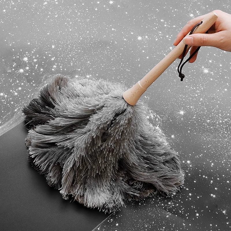Teng Xuan Feather Duster - Round Head for Indoor Dusting