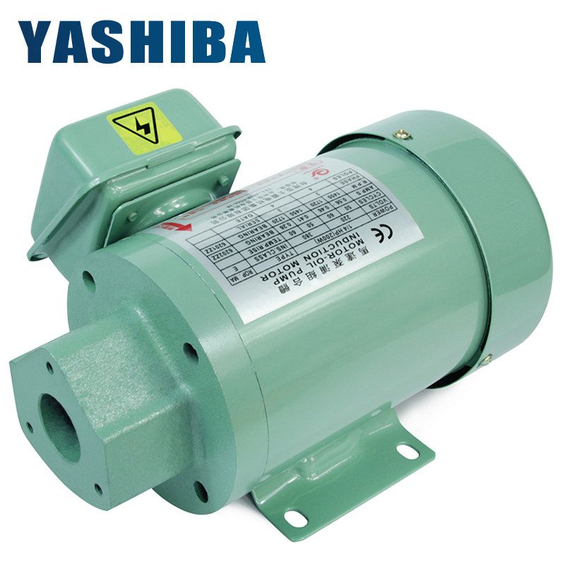 Hydraulic Oil Pump Gear Pump - High Pressure Circulation Lubrication ...