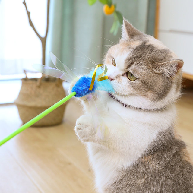 Taiwan's AmyCarol Cat Funny Stick, Long Rod, Bite-Resistant, Feather ...
