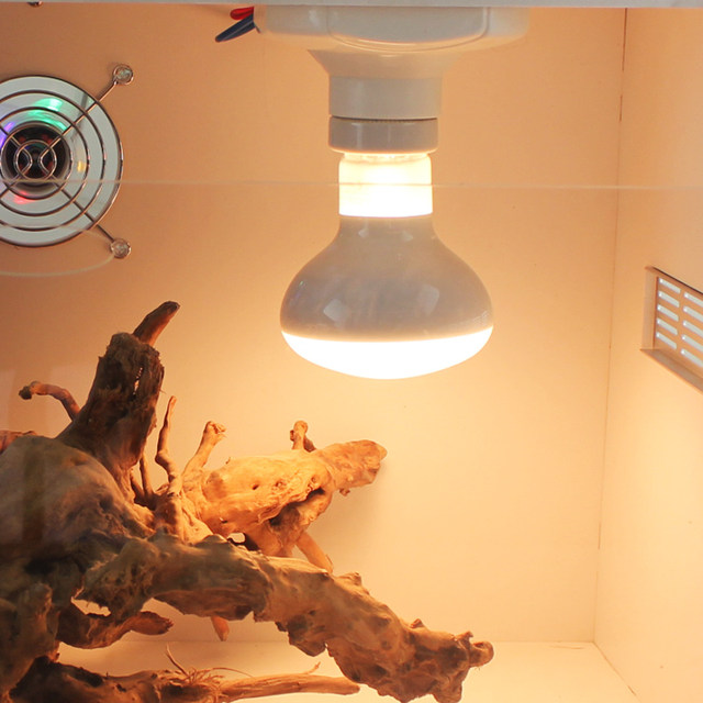 Reptile pet UVA heating lamp day lamp night lamp tortoise lizard box ...