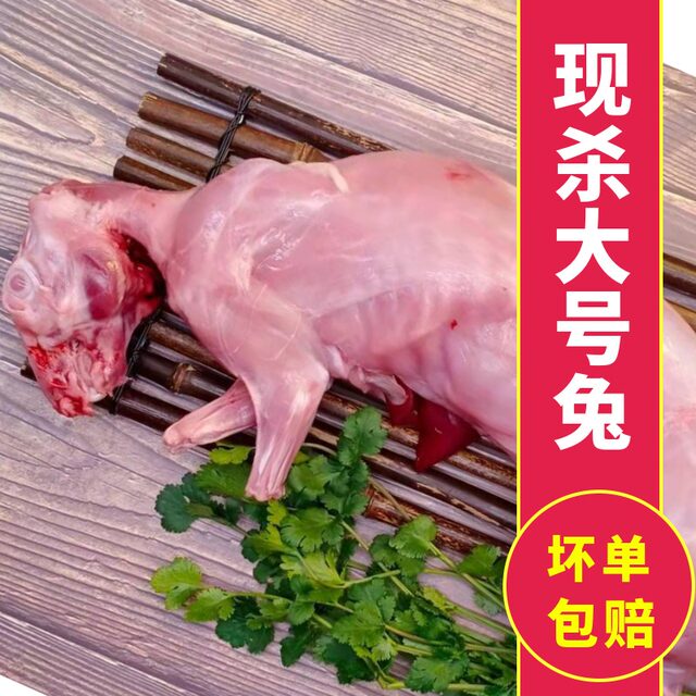 Fresh rabbit meat large size freshly killed frozen raw rabbit meat ...