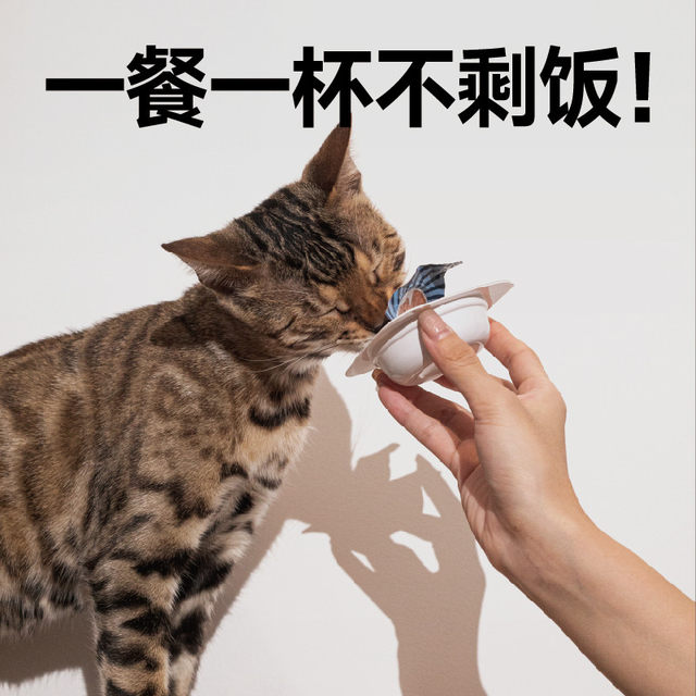 Tail Life Cup Cup Staple Eater 64 can 8 boxes+1 box of gifts