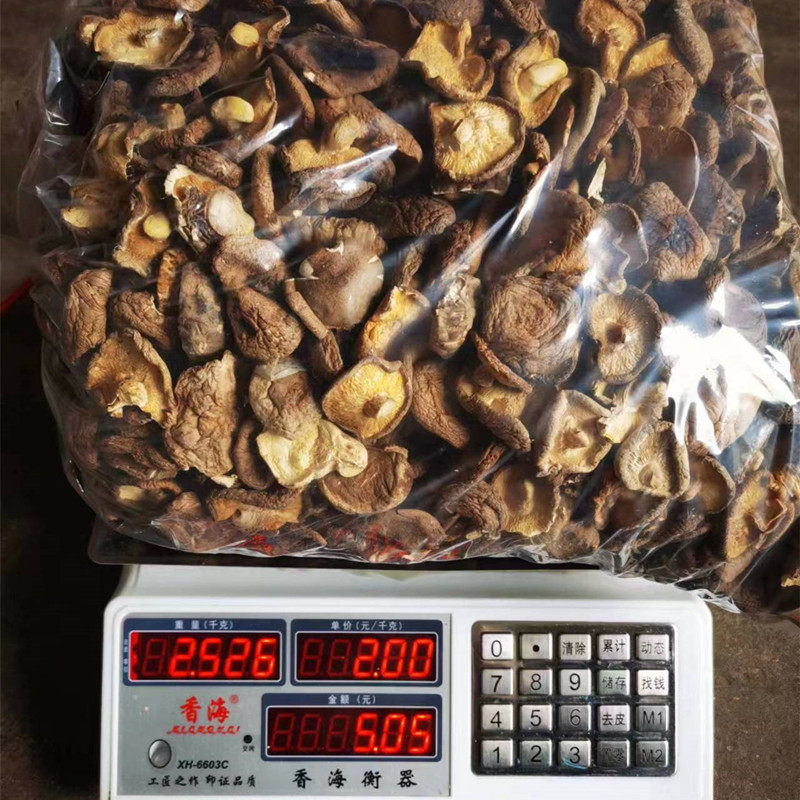 Champignons Shiitake séchés Mr. Xiang 5kg - Produits secs, Province du ...