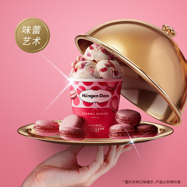 Haagen-Dazs Ice Cream Pint Strawberry Raspberry Haute Couture Macaron ...