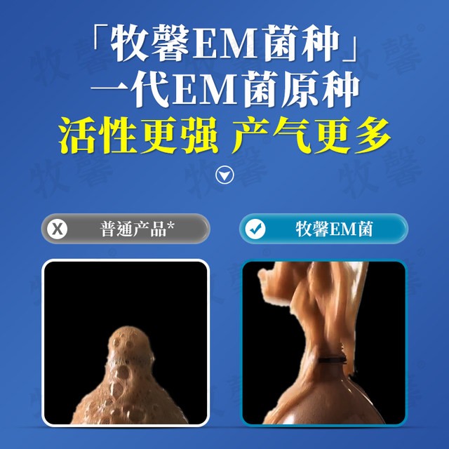 em strain aquaculture planting special probiotic feces bean dregs feed ...