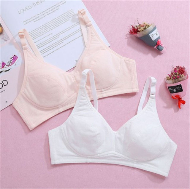 New rimless cotton underwear for girls, puberty development bra, small ...