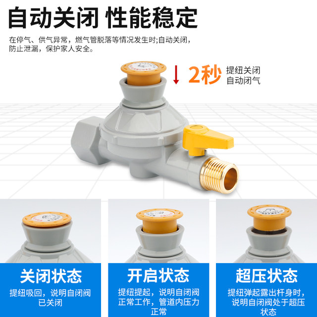 Household natural gas gas pipeline self-closing valve automatic cut-off ...
