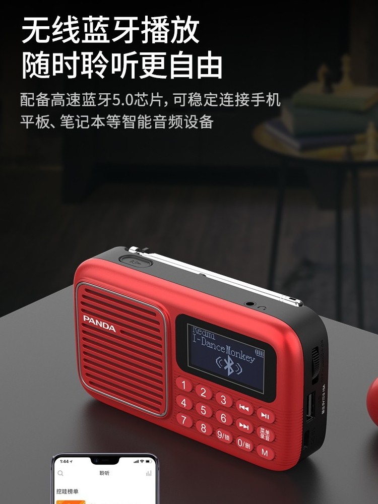 Radio Bluetooth portable Panda S6 et lecteur MP3