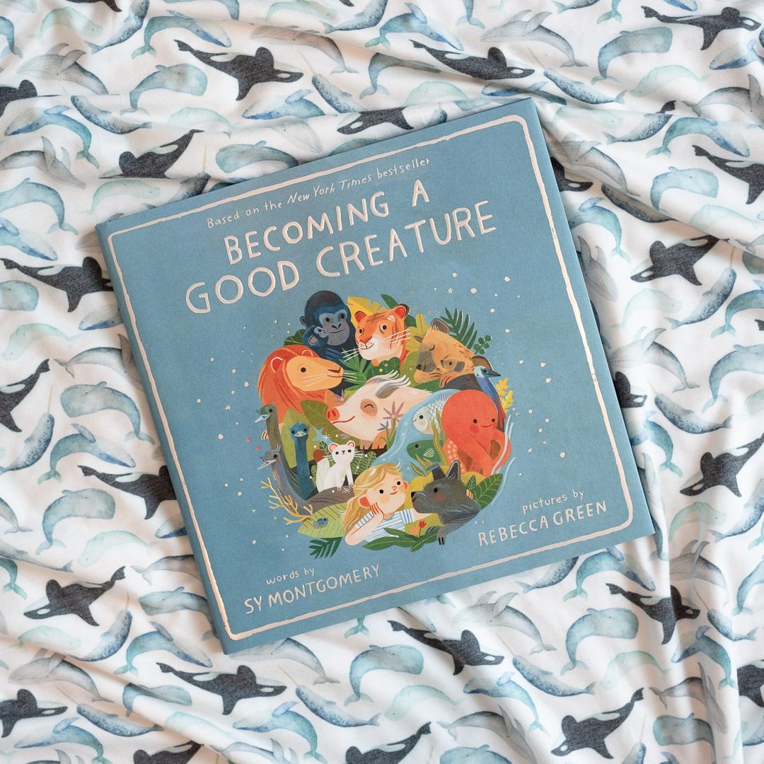 สมุดภาพ - สิ่งมีชีวิต พิพิธภัณฑ์ อังกฤษ