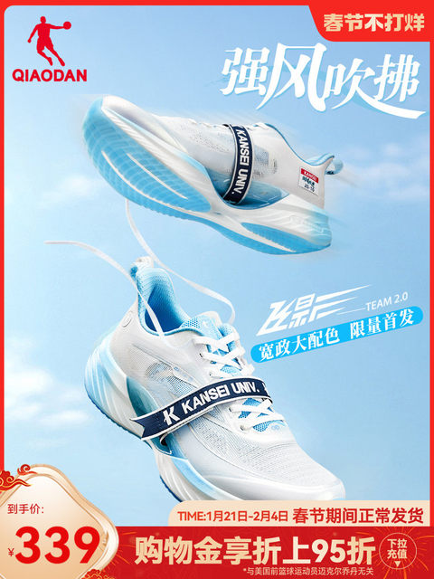 Jordan Feiying team2.0 strong wind blowing joint running shoes men's ...