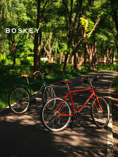 Boskey Touring Bike with Steel Frame, Long-Distance Travel, Comfortable ...