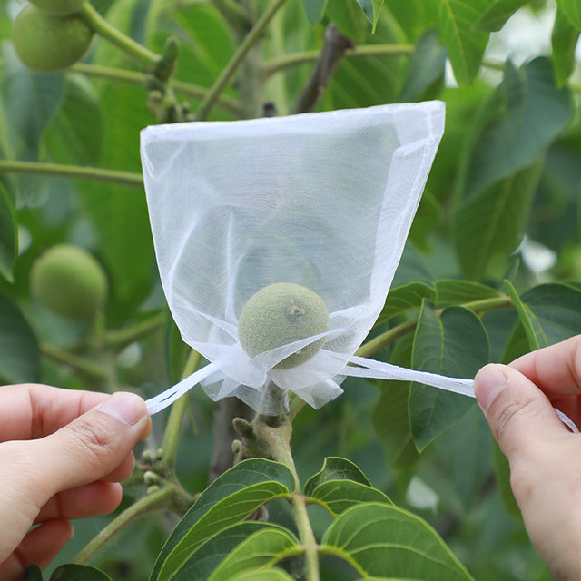 Fruit bagging, insect-proof and bird-proof bag, peach, apple, guava and ...