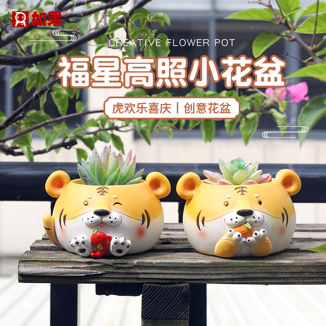 Tiger star high-shine succulent flower pots creative balcony garden ...