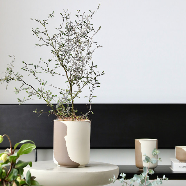 Thin-high design ceramic flower pot orchid hydroponic vase non-porous ...