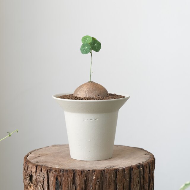 Wabi-sabi style ceramic flower pot with high legs and breathable plant ...
