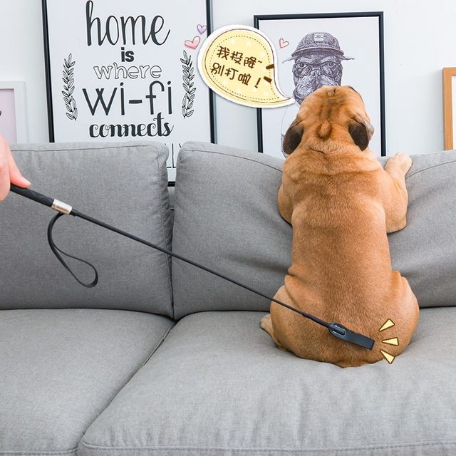 Dog training whip, special dog training whip, love pat, pet toilet whip ...