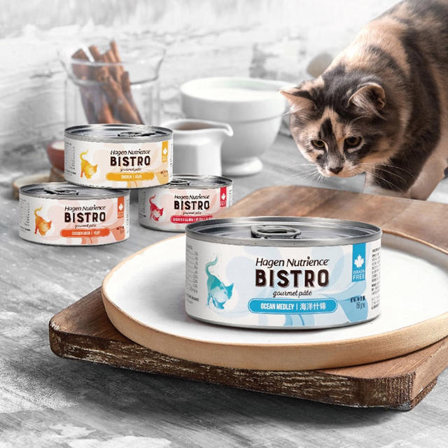 Canada Nutrience private kitchen staple food canned cat fattening hair gills 156g