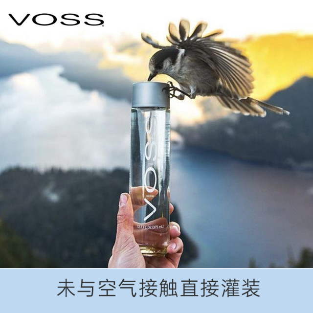 Original imported from Norway VOSS/VOSS drinking natural spring water ...