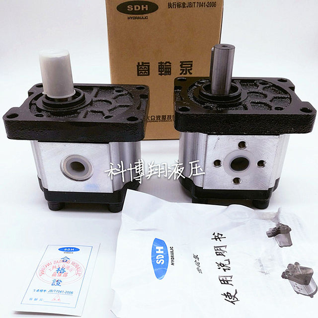 Sdh Shanghai Volkswagen Gear Pump Hydraulic Oil Pump Hydraulic Pump