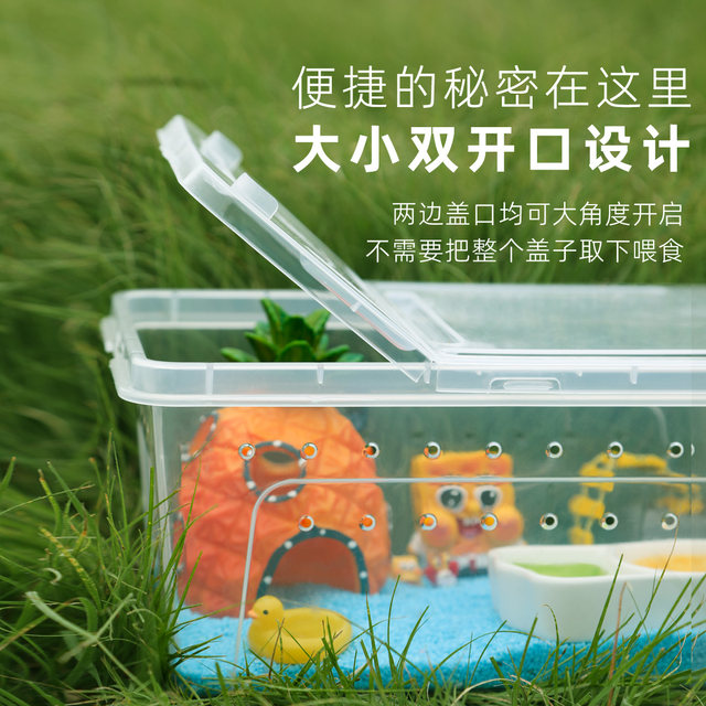 Hermit Crab Novice Package Breeding Box Box Breeding Supplies Crab Set ...