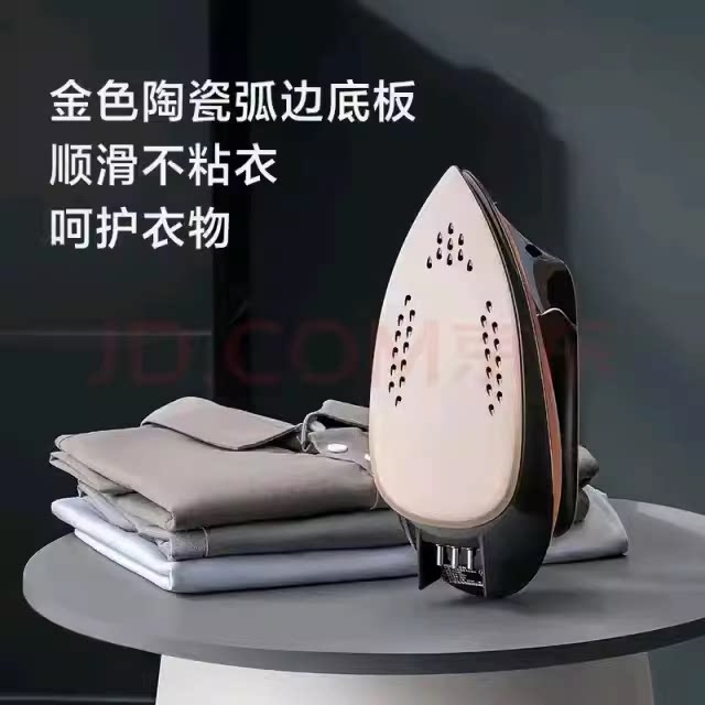 Flyco Cordless Electric Iron - Steam Iron for Vertical & Wet/Dry Use, 1800W