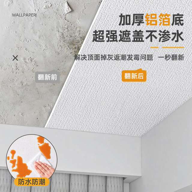 Ceiling stickers, special wall stickers for suspended ceilings, self ...