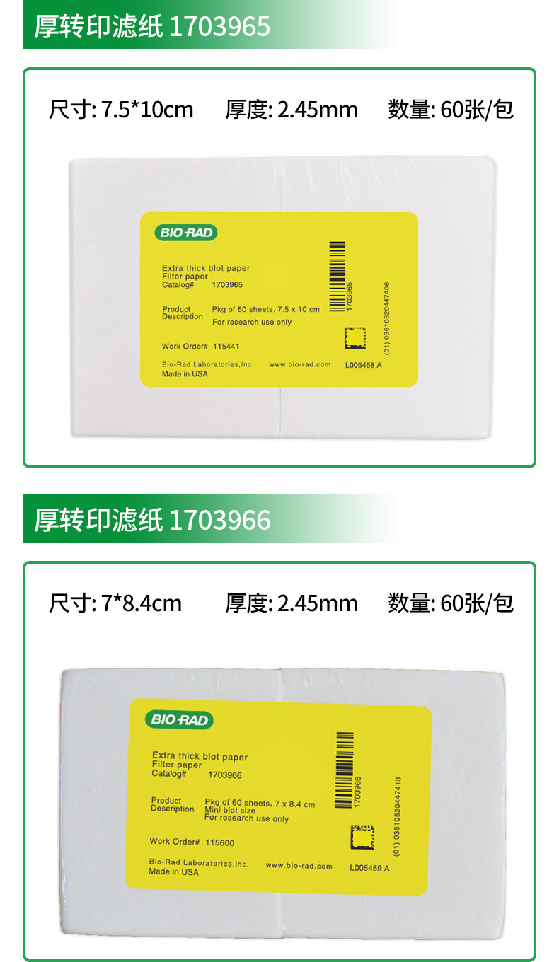 American bio-rad extra thick transfer filter paper